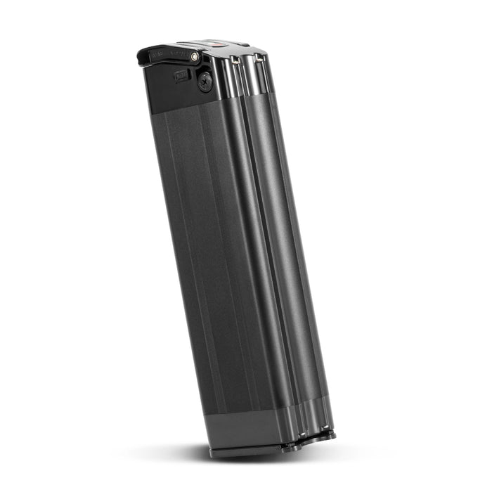 E-Bike Seat Tube Battery 48V 15Ah Silver Fish in Black fit for ECOTRIC ...